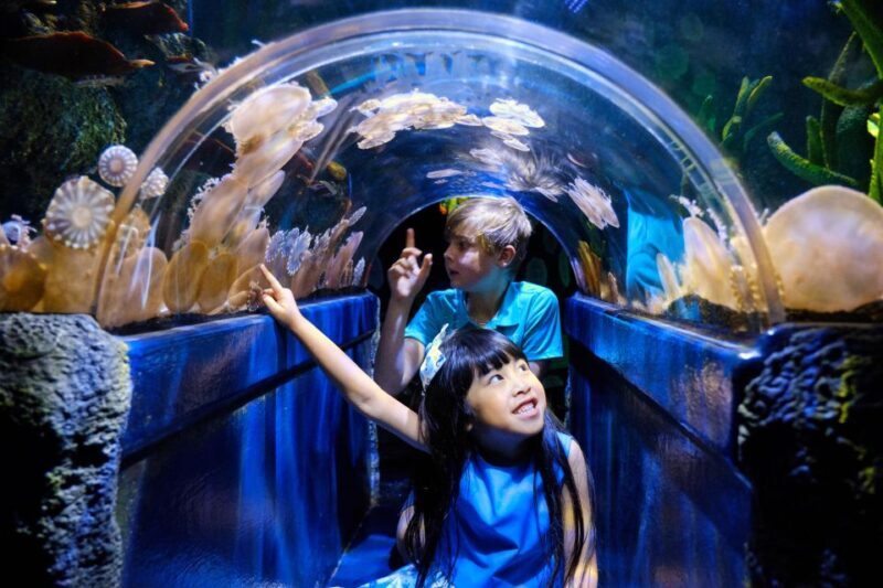 Melbourne: SEA LIFE Aquarium Entrance Ticket - A Practical Overview