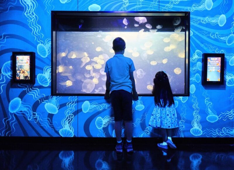 Melbourne: SEA LIFE Aquarium Entrance Ticket - Practical Tips for Your Visit