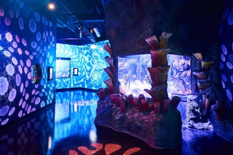 Melbourne: SEA LIFE Aquarium Entrance Ticket - Frequently Asked Questions