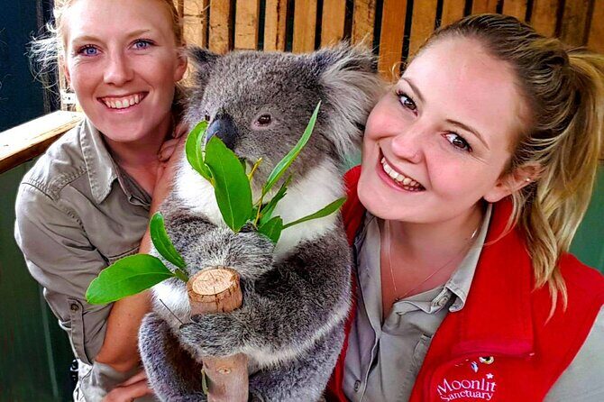 Melbourne Shore Excursion, Aussie Wildlife, Lunch, Wine & Sights - Key Points