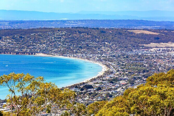 Melbourne Shore Excursion, Wine Region, Wildlife, Shared Tour - Introduction