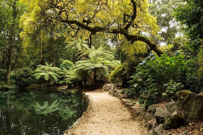 Melbourne Sky High - Private Bush Tour - What Tour Reviewers Say