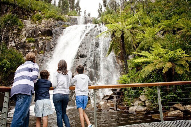 Melbourne Snow Trip to Lake Mountain with Chocolates & Waterfalls - In-Depth Look at the Experience
