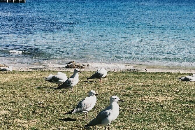 Melbourne: The Great Ocean Road Private Tour - Exploring the Itinerary in Detail