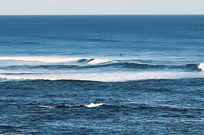 Melbourne: The Great Ocean Road Private Tour - The Sum Up