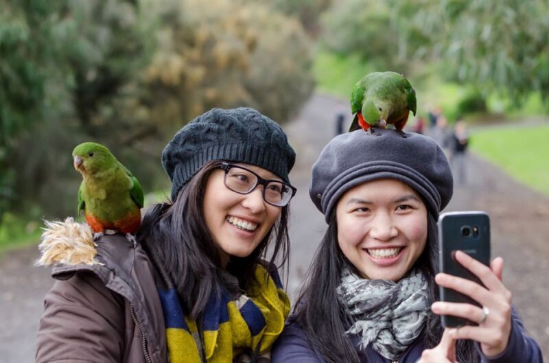 Melbourne to Adelaide: 3-Day Great Ocean Road Grampians Tour - Final Thoughts: Is It Worth It?