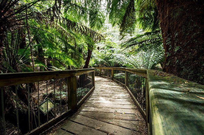 Melbourne to Adelaide 3 Day Southern Coast Overland Tour - Final Thoughts