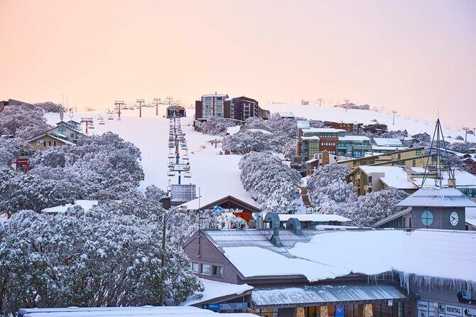 Melbourne to Mt Buller Snow Day Trip  Skiing & Winter Fun - Key Points