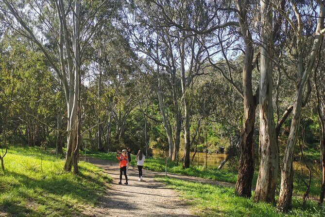 Melbourne Tours Walk the Yarra & Historic Boathouse Lunch - The Practical Side: What Travelers Need to Know