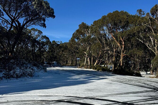 Melbourne: Ultimate Mt Baw Baw Snow Private Tour Experience. - Introduction: Why Consider the Melbourne: Ultimate Mt Baw Baw Snow Private Tour?