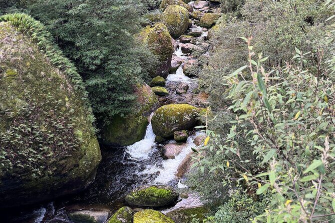 Melbourne: Ultimate Mt Baw Baw Snow Private Tour Experience. - Cost and Value Analysis