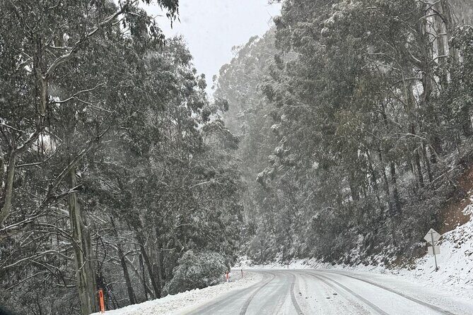 Melbourne: Ultimate Mt Baw Baw Snow Private Tour Experience. - Who Will Love This Tour?