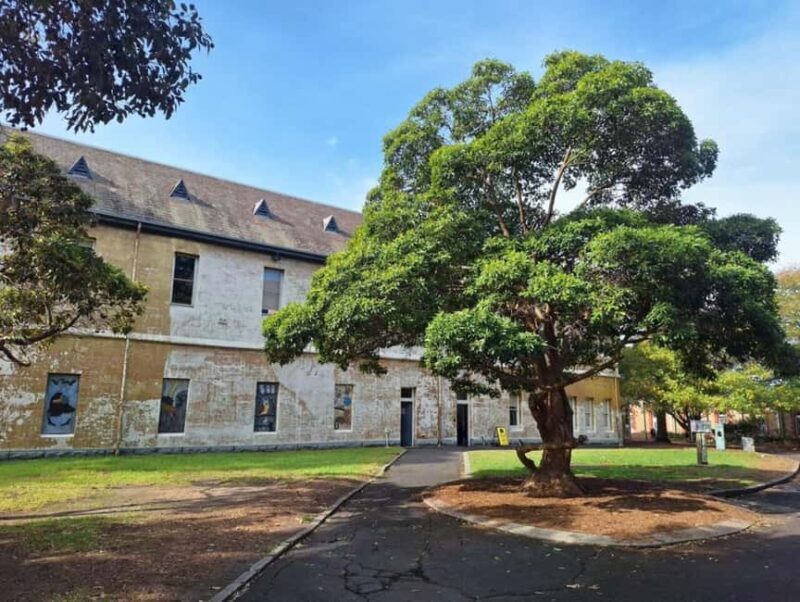 Melbourne: Walk the Yarra to Heritage Abbotsford Convent - Why This Walk Is Worth It