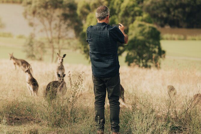 Melbourne wildlife nature hike with Kangaroos and sunset picnic! - FAQ