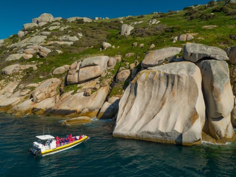 Melbourne: Wilsons Promontory Morning Wilderness Cruise - Authentic Traveler Feedback