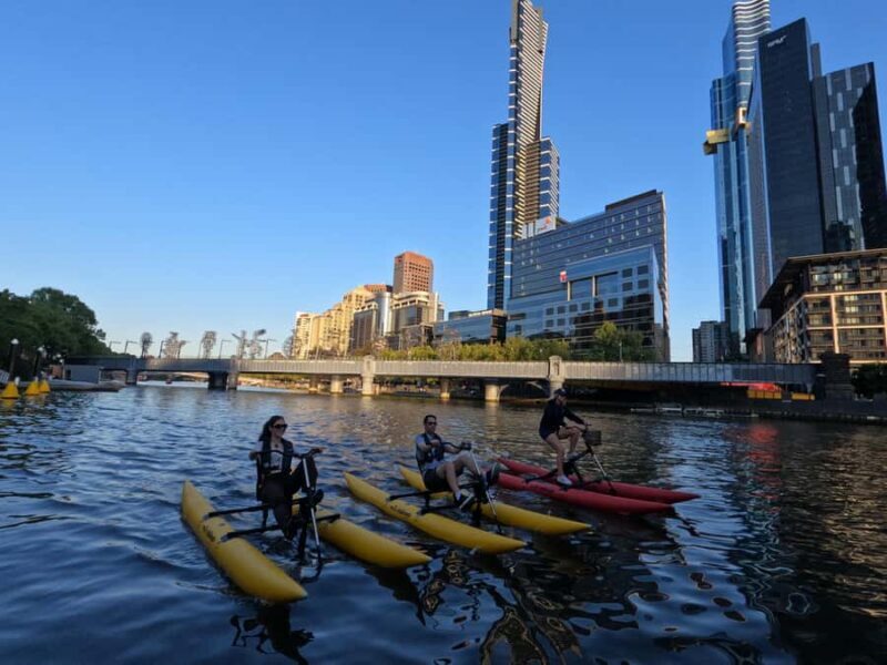 Melbourne: Yarra River Twilight Waterbike Tour - The Experience: What You’ll Actually Do