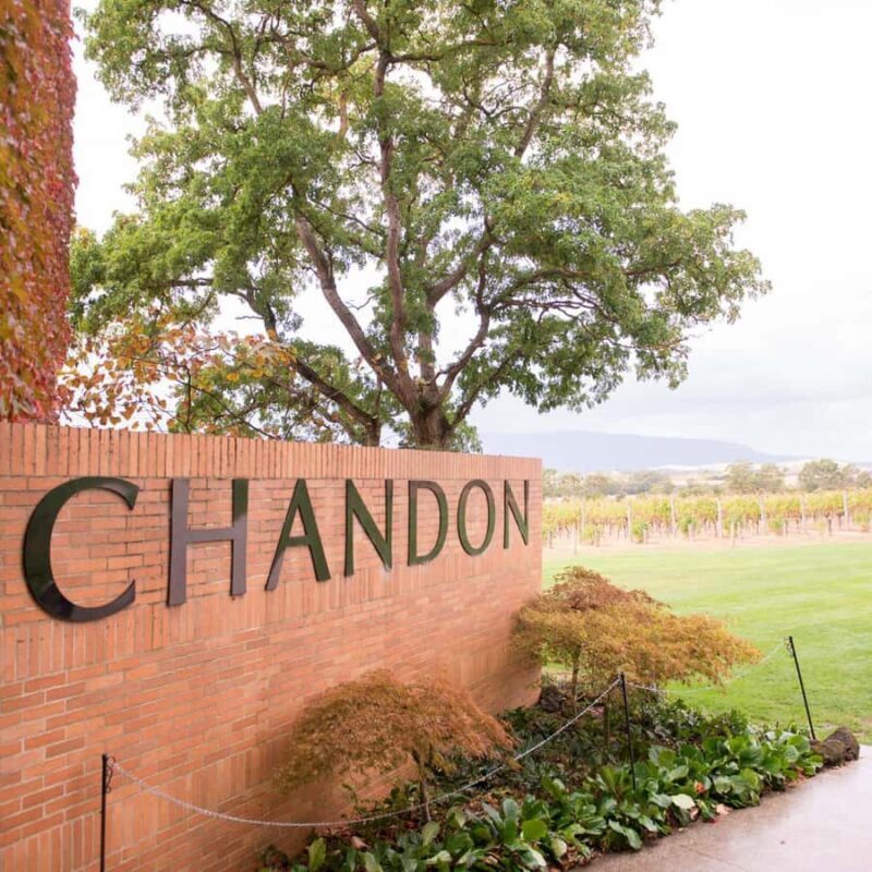 Melbourne: Yarra Valley Wine & Cherry Picking Day Trip - Authenticity and Overall Impression