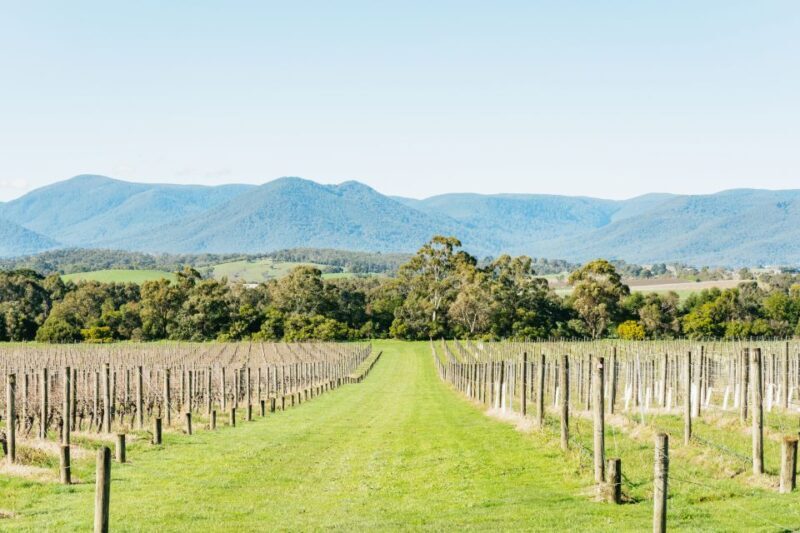 Melbourne: Yarra Valley Wine, Cider, Gin, Beer, & Choc Tour - Frequently Asked Questions