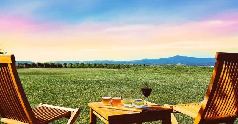 Melbourne: Yarra Valley Wine Tour & Lunch & Gin/Beer Option - Why This Tour Is Worth Considering