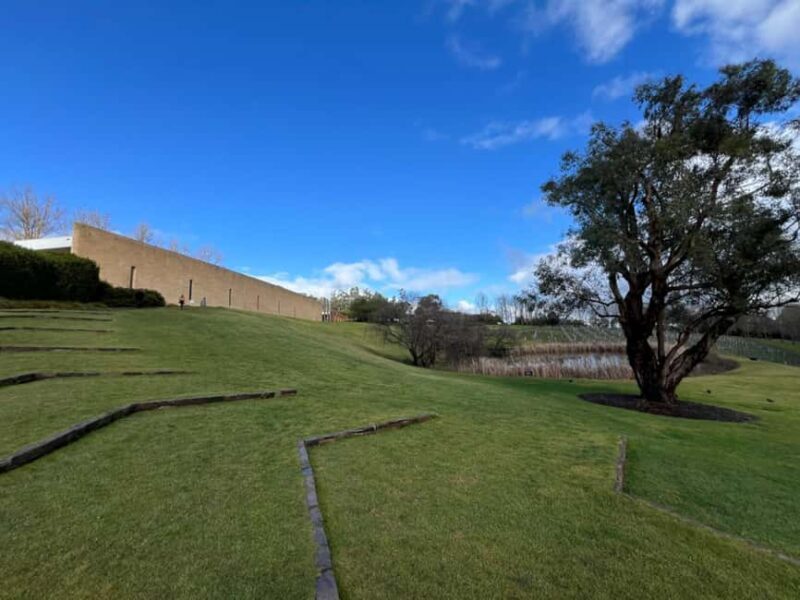 Melbourne: Yarra Valley Wineries Private Car Tour - Transport and Comfort