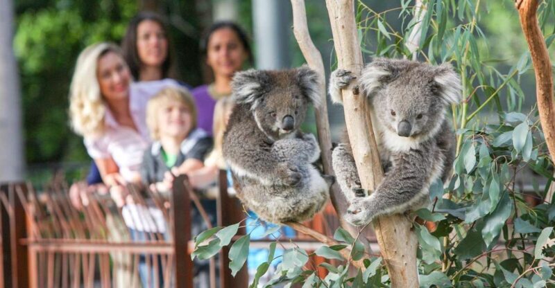 Melbourne Zoo: 1-Day Entry Ticket - A Closer Look at Melbourne Zoo
