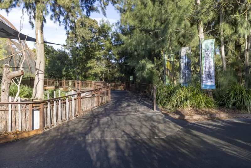 Melbourne Zoo: Australian Wildlife Experience Ticket - An In-Depth Look at the Experience