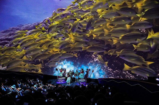 Mele The Hawaiian Music Experience - Who Should Consider This?