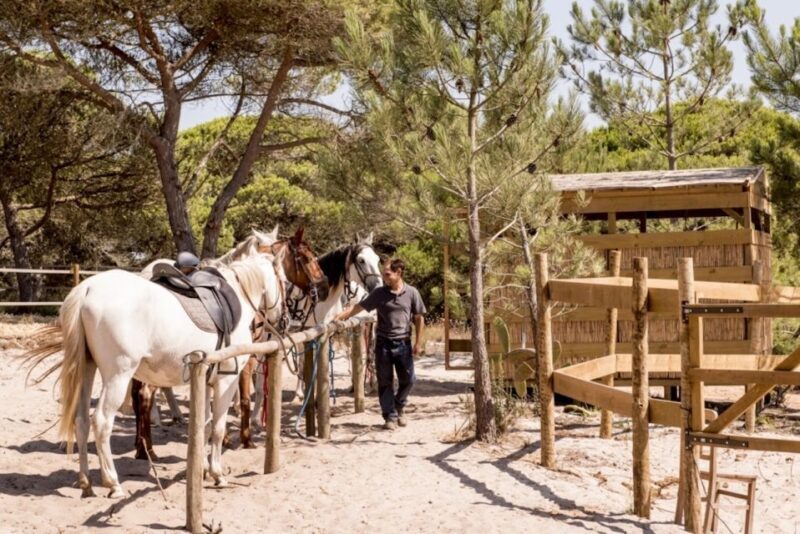 Melides: Horse Riding on the Beach with Wine Tasting - The Sum Up: Is This Experience Worth It?