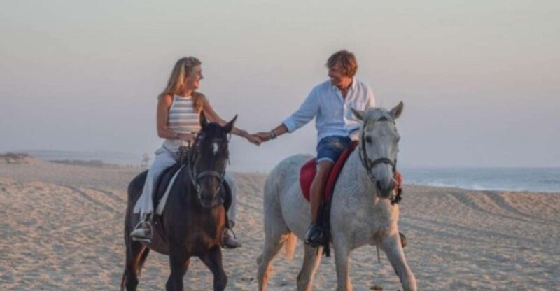 Melides: Horseback Riding on Melides Beach - Who Would Love This Tour?