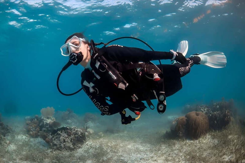 Mellieha: Introductory Diving Session in the Open Sea - Final Verdict