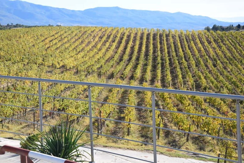 Melnik Wine Tour - Key Points