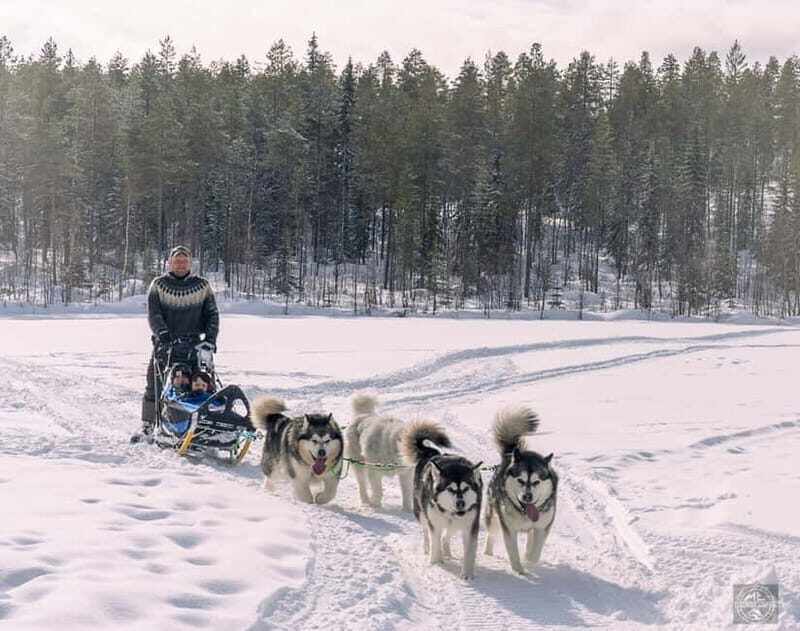 Meltosjärvi: Self Driving Husky Tour - Lake Trail Experience - Key Points
