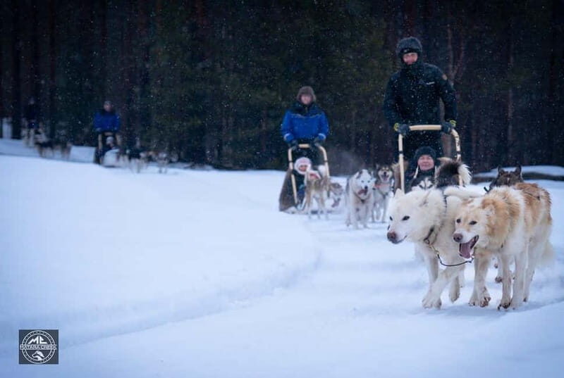 Meltosjärvi: Self Driving Husky Tour - Lake Trail Experience - FAQ