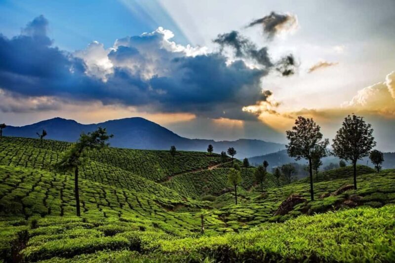 Memorable, Munnar Hill Station Tour (02 Nights / 03 Days) - FAQs