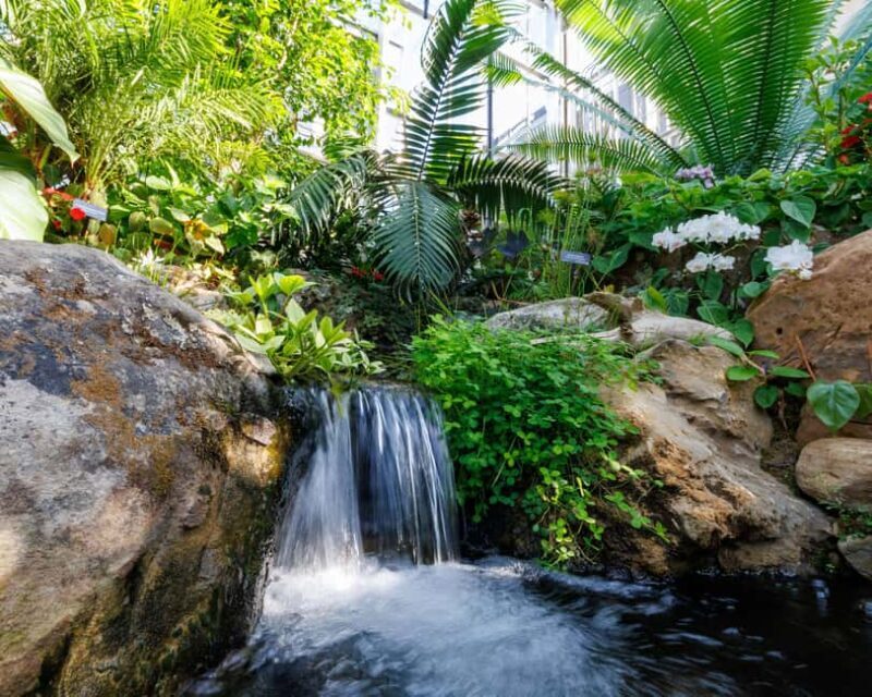 Memphis Botanic Garden Entry Ticket - An In-Depth Look at Memphis Botanic Garden