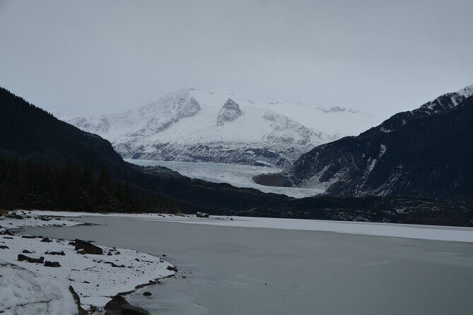 Mendenhall Glacier and Whale Watching Tour - An Overview of the Tour Experience