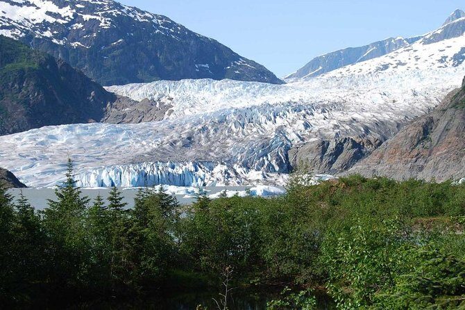 Mendenhall Glacier Trolley Tour - Authentic Experiences and Practical Details