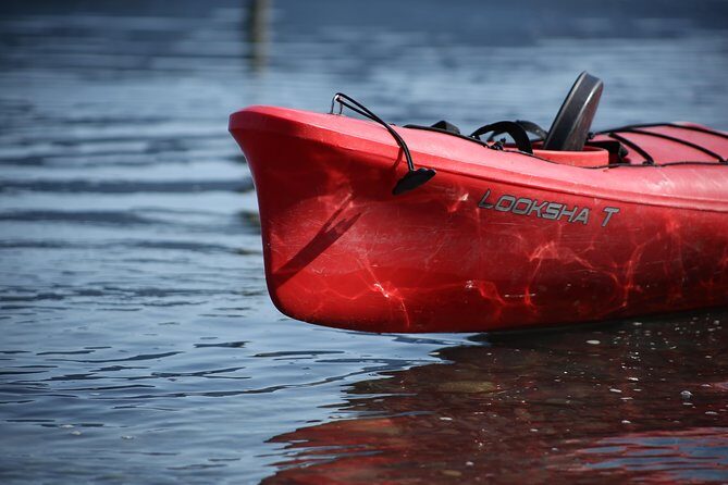 Mendenhall Glacier View Sea Kayaking - What Is It Like to Kayak Around Mendenhall Glacier?