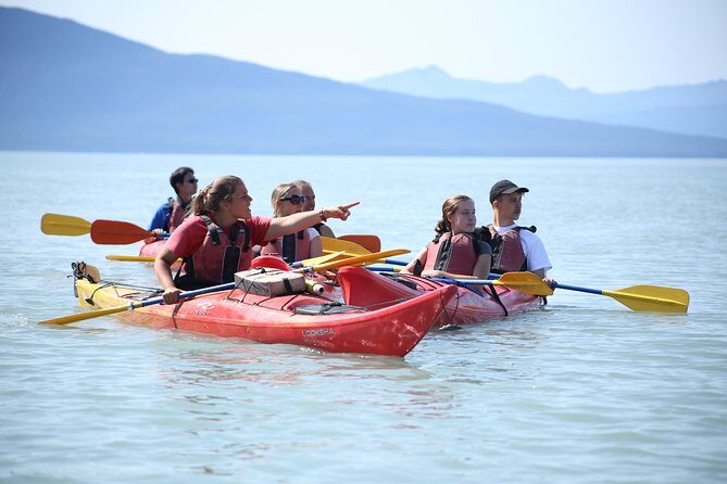 Mendenhall Glacier View Sea Kayaking - Practical Details and What to Expect