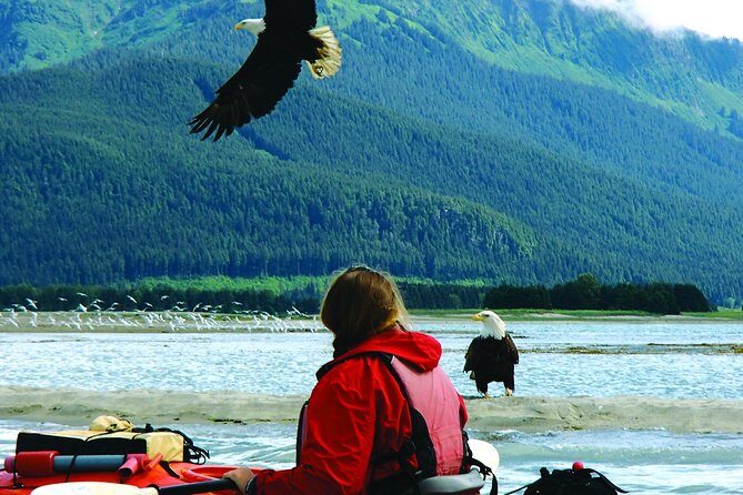 Mendenhall Glacier View Sea Kayaking - What Do Travelers Say?