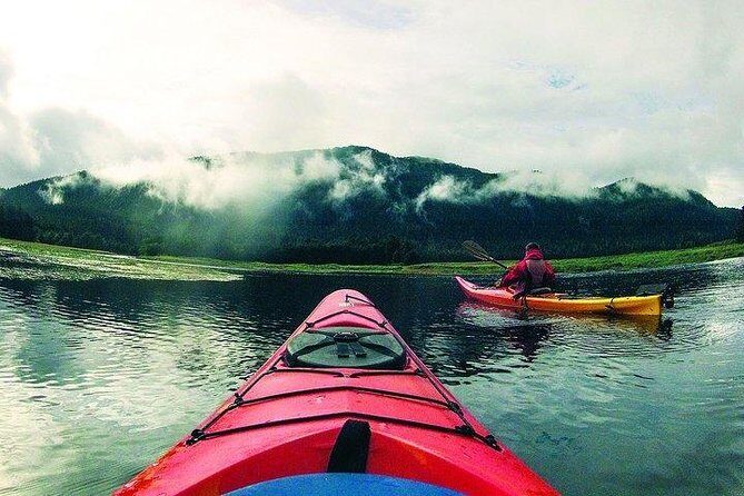 Mendenhall Glacier View Sea Kayaking - Value for Money