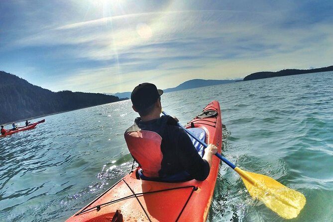 Mendenhall Glacier View Sea Kayaking - Who Is This Tour Best For?