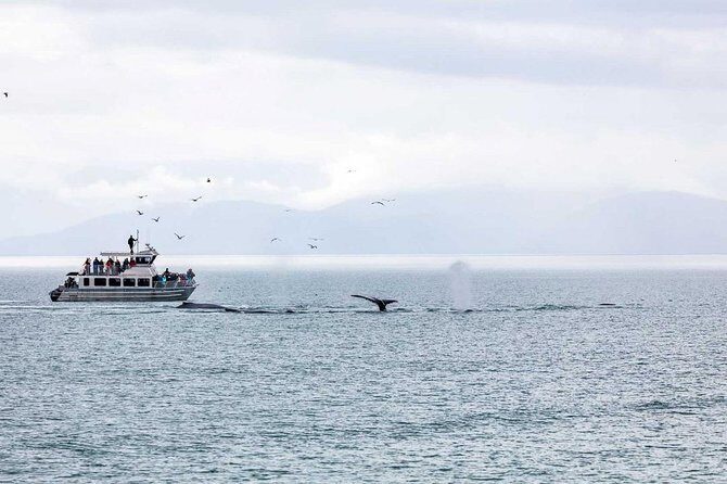 Mendenhall Glacier Visitor Center and Ultimate Whale Watch Combo - Frequently Asked Questions