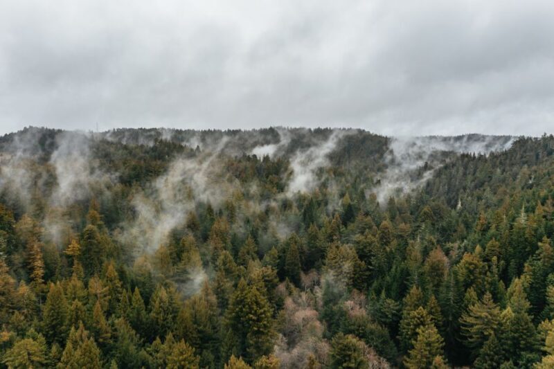 Mendocino County: Pudding Creek Railbikes - Key Points