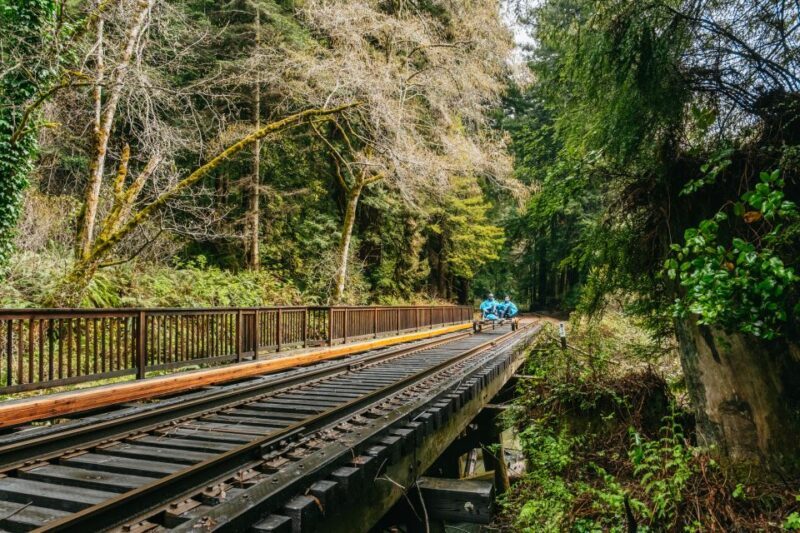 Mendocino County: Pudding Creek Railbikes - Why You Should Consider This Tour