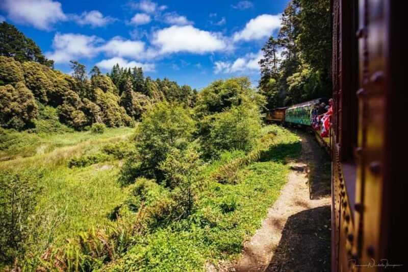 Mendocino County: Skunk Train Pudding Creek Train Ride - Key Points