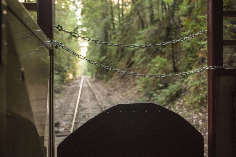 Mendocino County: Skunk Train Wolf Tree Turn Train Ride - Key Points