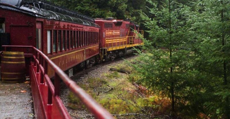 Mendocino County: Skunk Train Wolf Tree Turn Train Ride - The Experience: What to Expect from the Journey