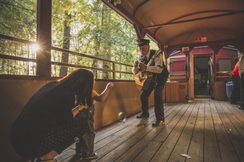Mendocino County: Skunk Train Wolf Tree Turn Train Ride - The Itinerary in Detail