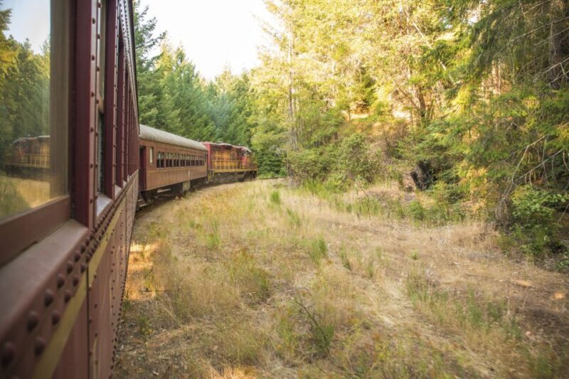 Mendocino County: Skunk Train Wolf Tree Turn Train Ride - The Sum Up